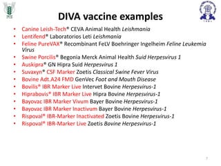 Differentiation of field isolates (wild) from vaccine strains (Marker ...