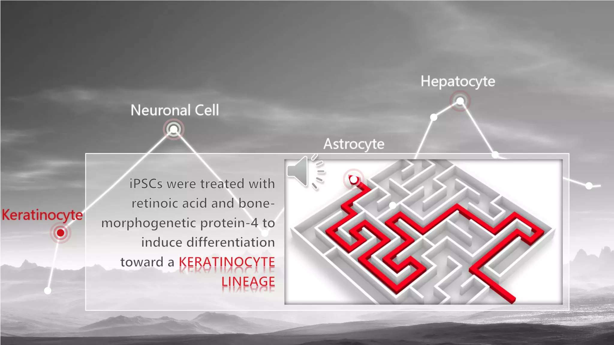 Differentiation of ipsc | PDF