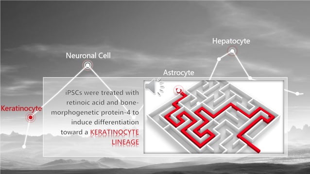 Differentiation of ipsc | PDF | Biological Sciences | Science
