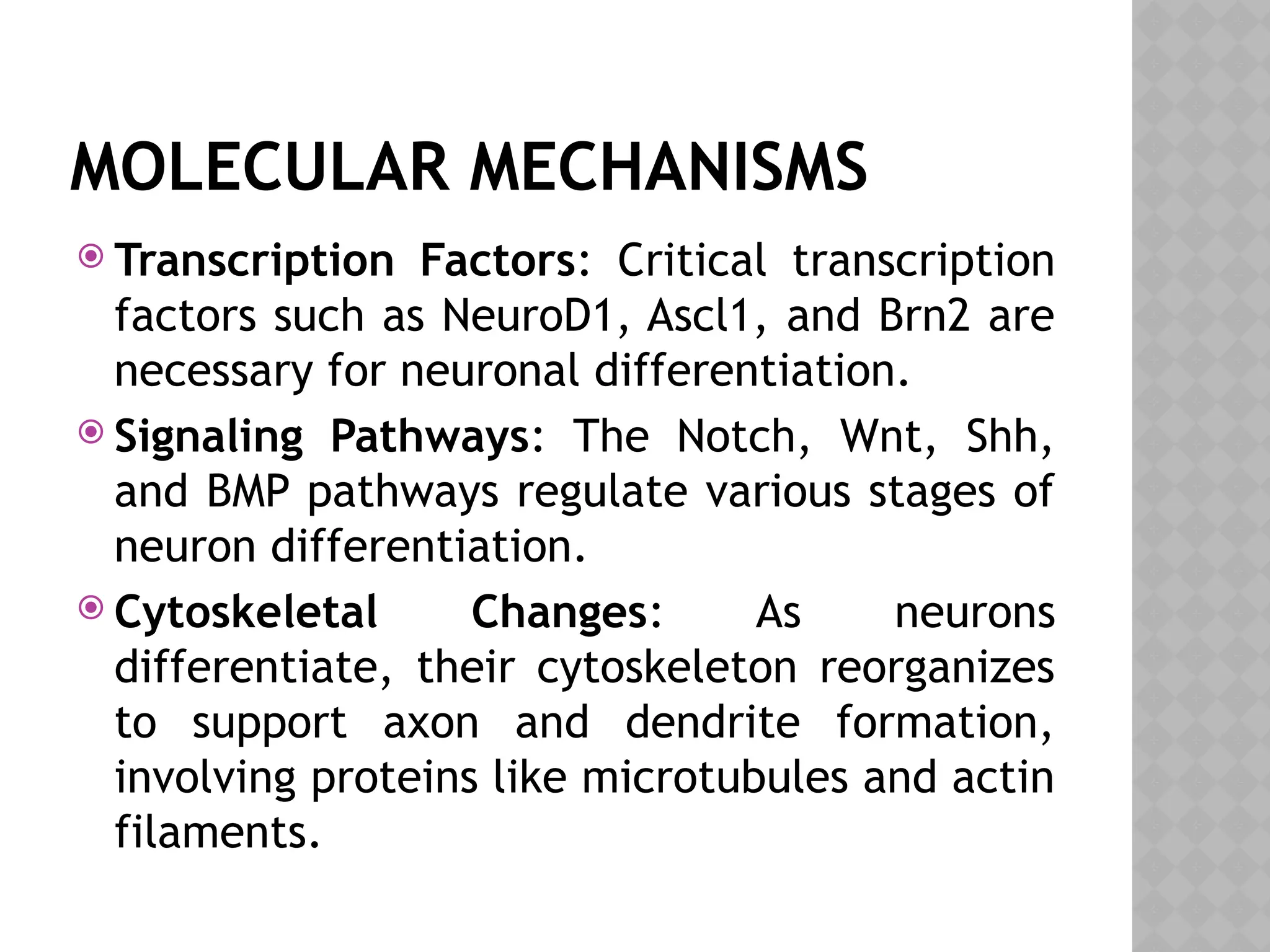 Differentiation of Neurons - Dr.M.Jothimuniyandi | PPTX
