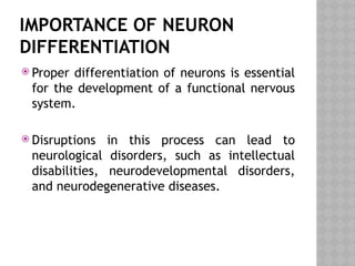 Differentiation of Neurons - Dr.M.Jothimuniyandi | PPTX | Brain and ...
