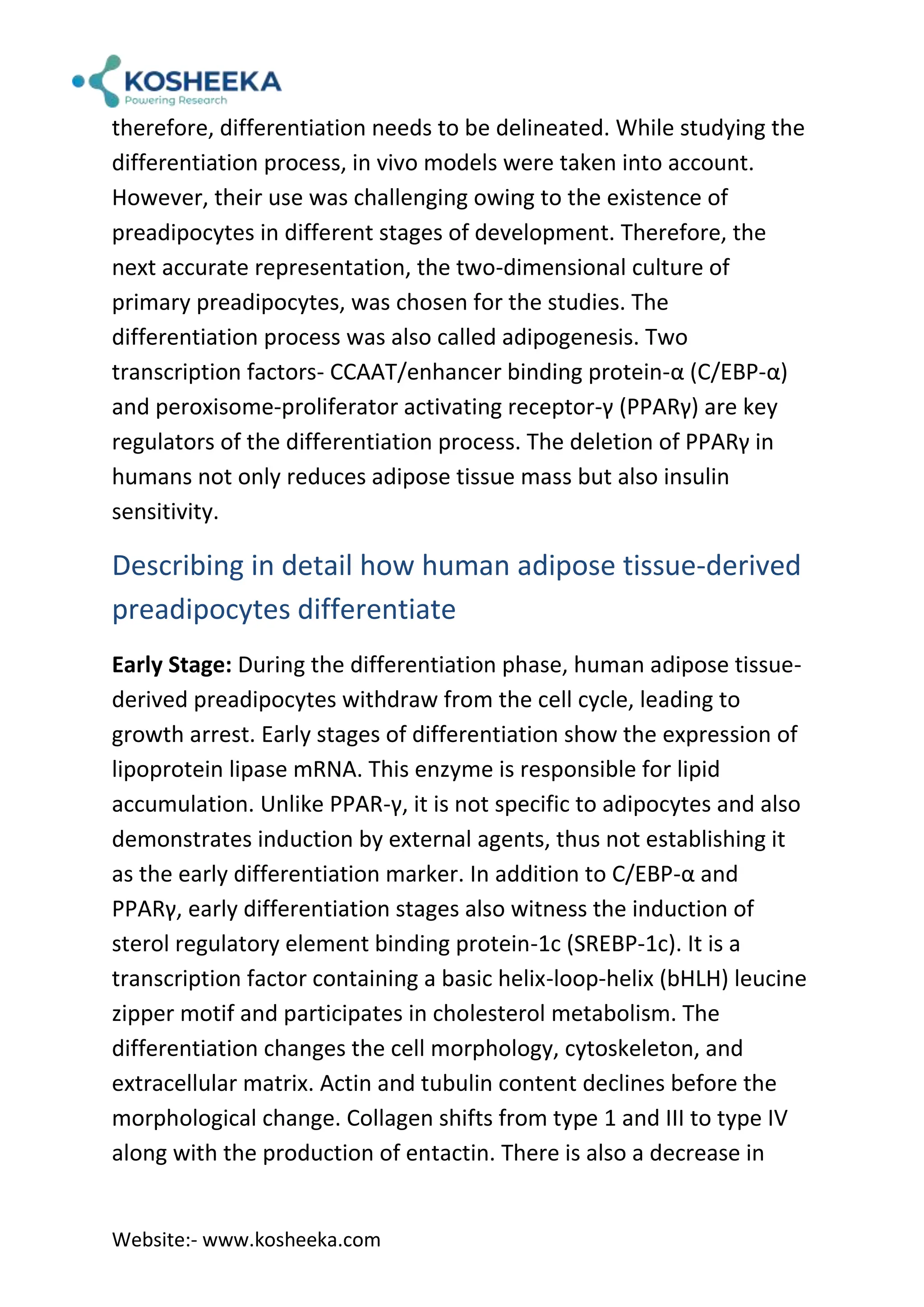 Differentiation of Preadipocytes: Role in Lipid Metabolism and Obesity ...