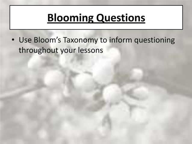 Differentiation presentation | PPT