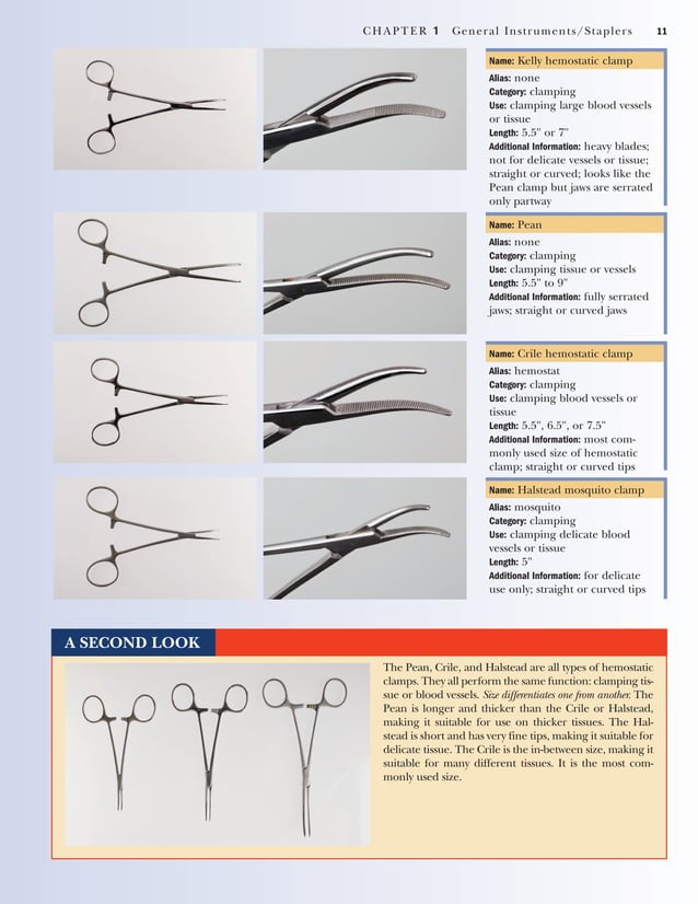 Differentiation surgical instruments | PDF | Physical Therapy | Wellness