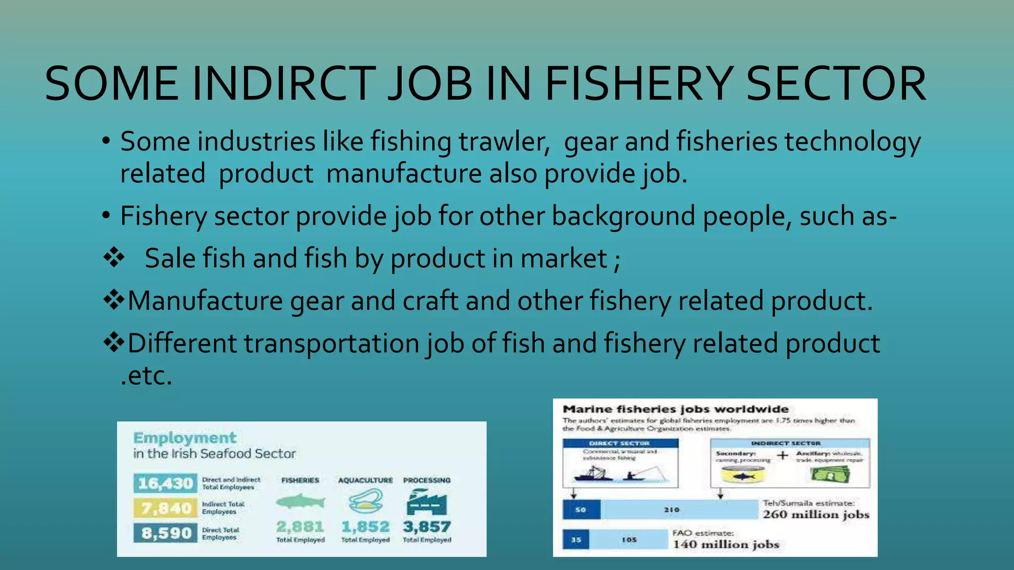 DIFFERENT JOB FISHERIES SECTOR.pptx | Job Market | Economy