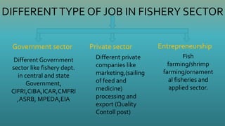 DIFFERENT JOB FISHERIES SECTOR.pptx