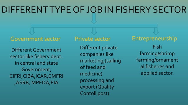 DIFFERENT JOB FISHERIES SECTOR.pptx