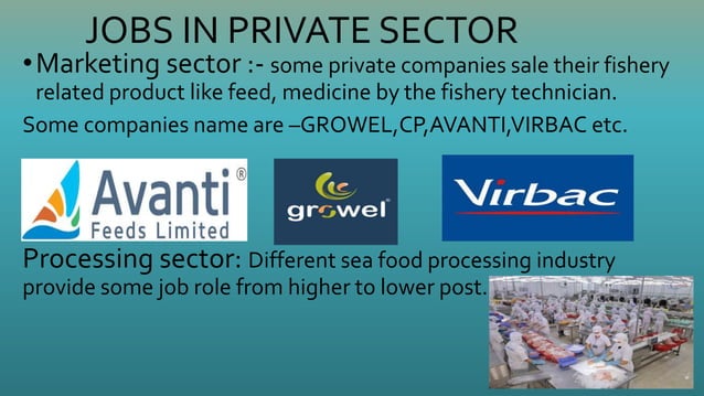 DIFFERENT JOB FISHERIES SECTOR.pptx