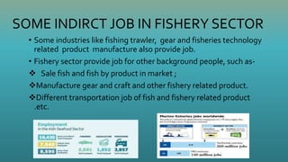 DIFFERENT JOB FISHERIES SECTOR.pptx