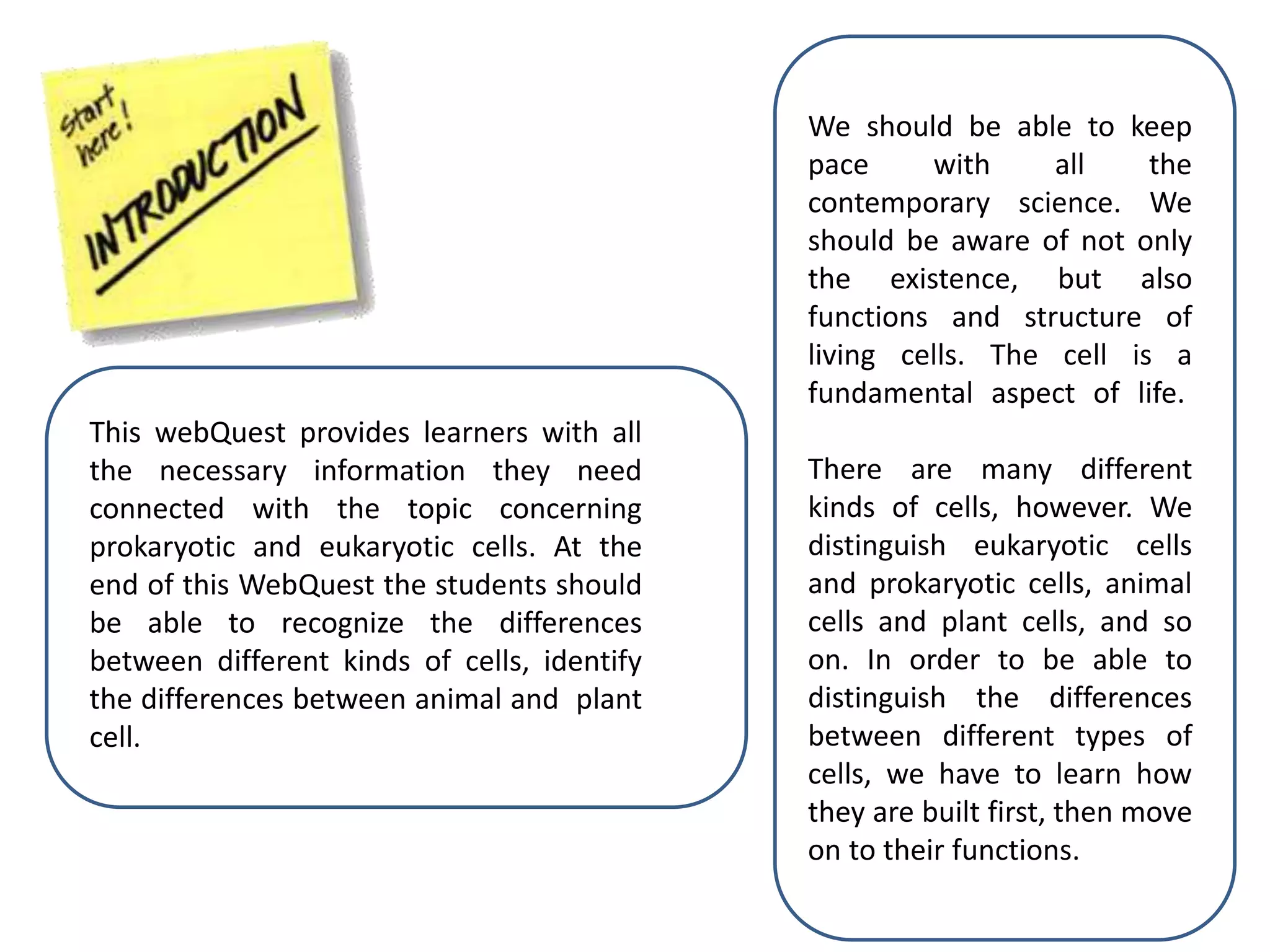 Different kinds of cells web quest | PPTX