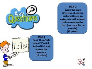 Different kinds of cells web quest | PPTX