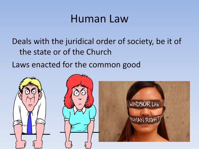 Different Kinds of Law | PPTX