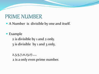 DIFFERENT KINDS OF NUMBERS.pptx