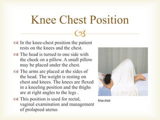 Different kinds of Positions.pptx