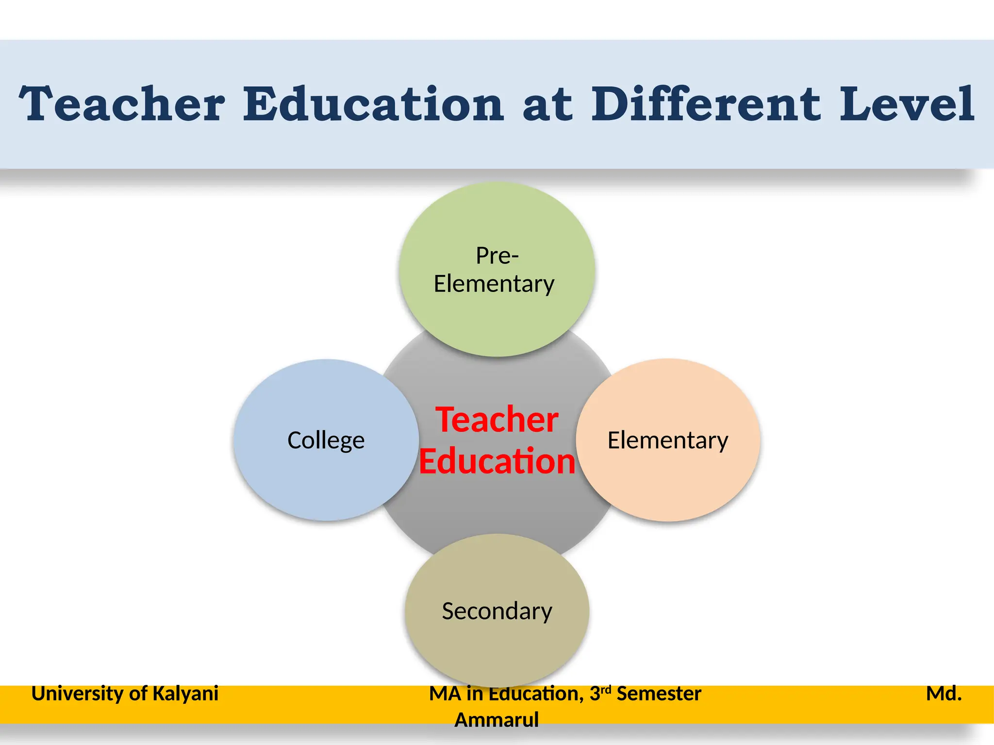 Different levels of teacher education.pptx