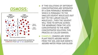 Different measurements in food science | PPTX