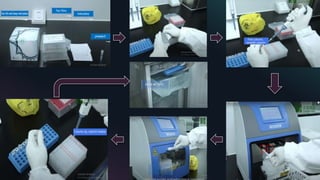 Different methods of DNA isolation | PPTX
