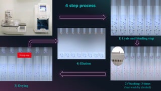 Different methods of DNA isolation | PPTX
