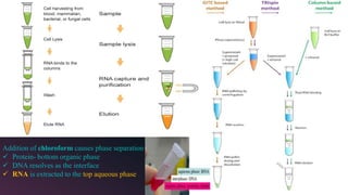 Different methods of DNA isolation | PPTX