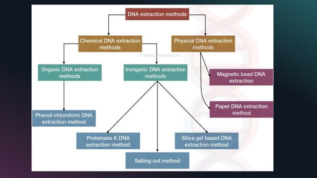 Different methods of DNA isolation | PPTX | Chemistry | Science