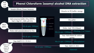 Different methods of DNA isolation | PPTX