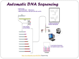 Different methods of gene sequencing durgesh sirohi | PDF