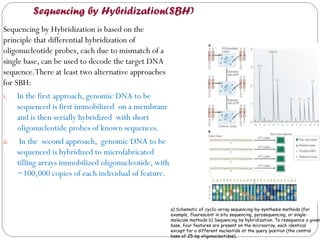Different methods of gene sequencing durgesh sirohi | PDF