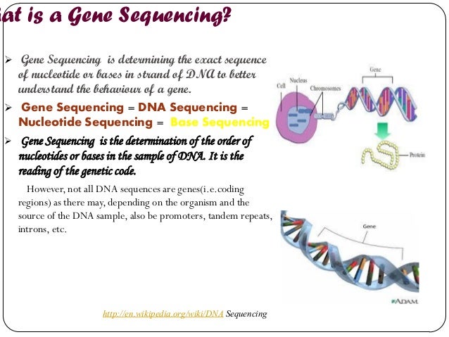 Different methods of gene sequencing durgesh sirohi