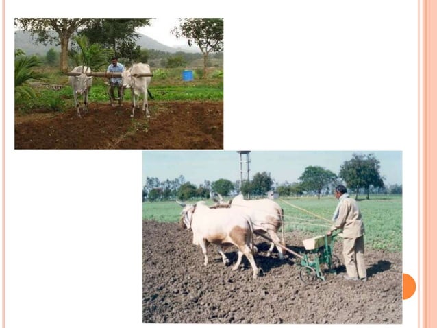 Different methods of sowing | PPT