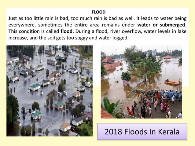 Different Methods of water storage | PPTX | Weather | Science