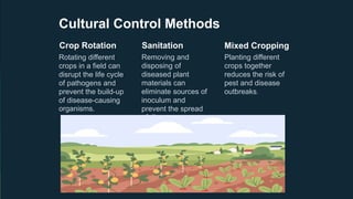 Different Methods used in Integrated-Plant-Disease-Management.pptx
