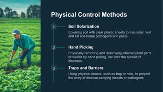 Different Methods used in Integrated-Plant-Disease-Management.pptx