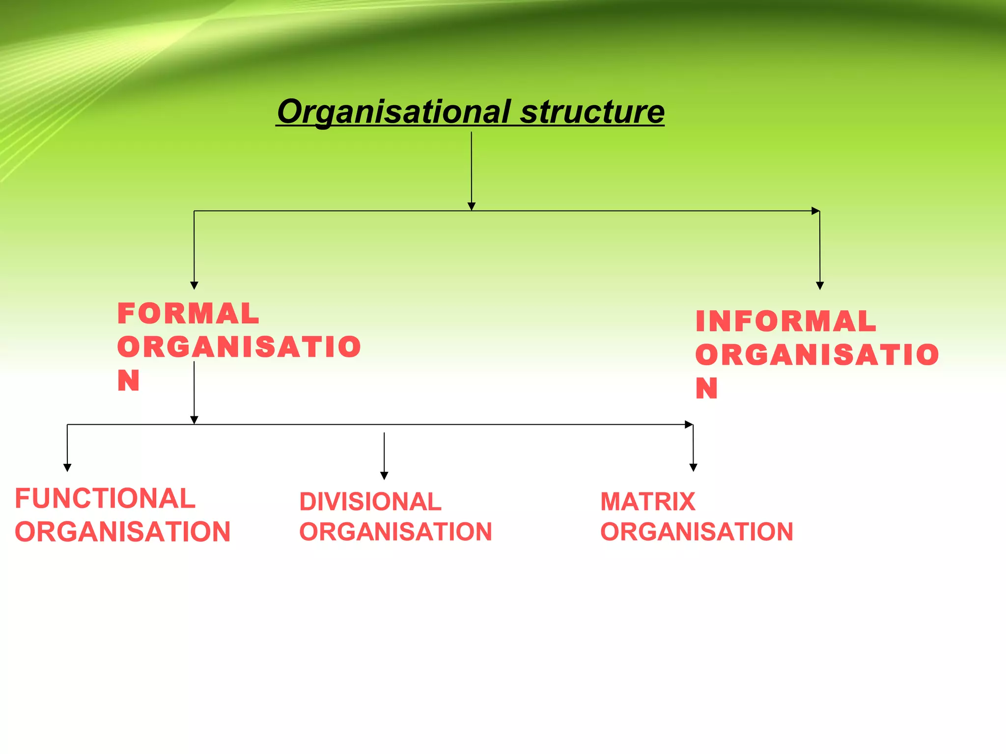 Different organisational structure | PPT
