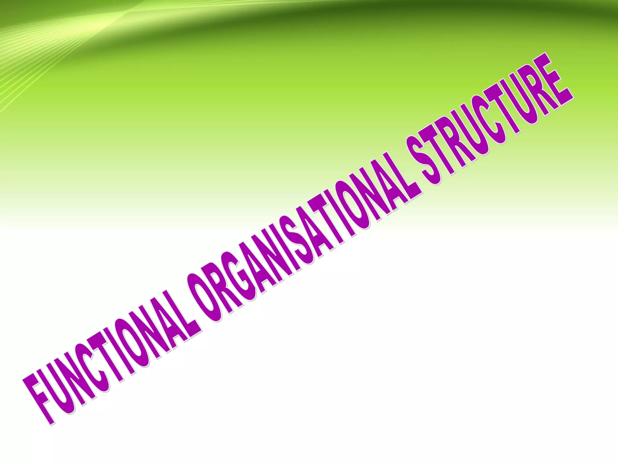 Different organisational structure | PPT