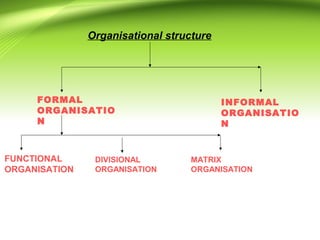 Different organisational structure | PPT