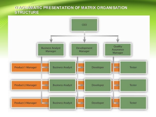Explain The Functions Of Different Organisational Structures Nvq What Are The Functions Of explain-the-functions-of-different-organisational-structures-nvq-what-are-the-functions-of