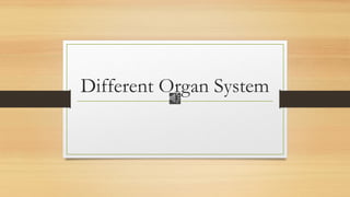 Different Organ System.pptx human body systems | PPTX