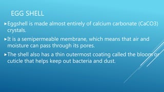 Different part of egg | PPTX