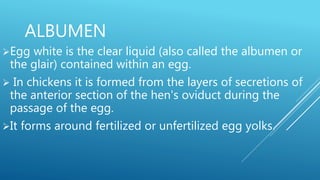 Different part of egg | PPTX