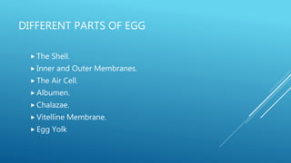 Different part of egg | PPTX