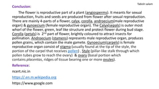 Different parts of flower .. | PPT