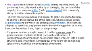 Different parts of flower .. | PPT