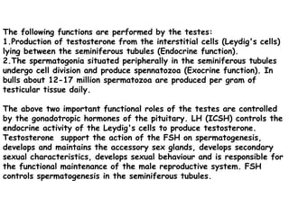 Different parts of reproductive system male.ppt