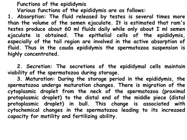 Different parts of reproductive system male.ppt