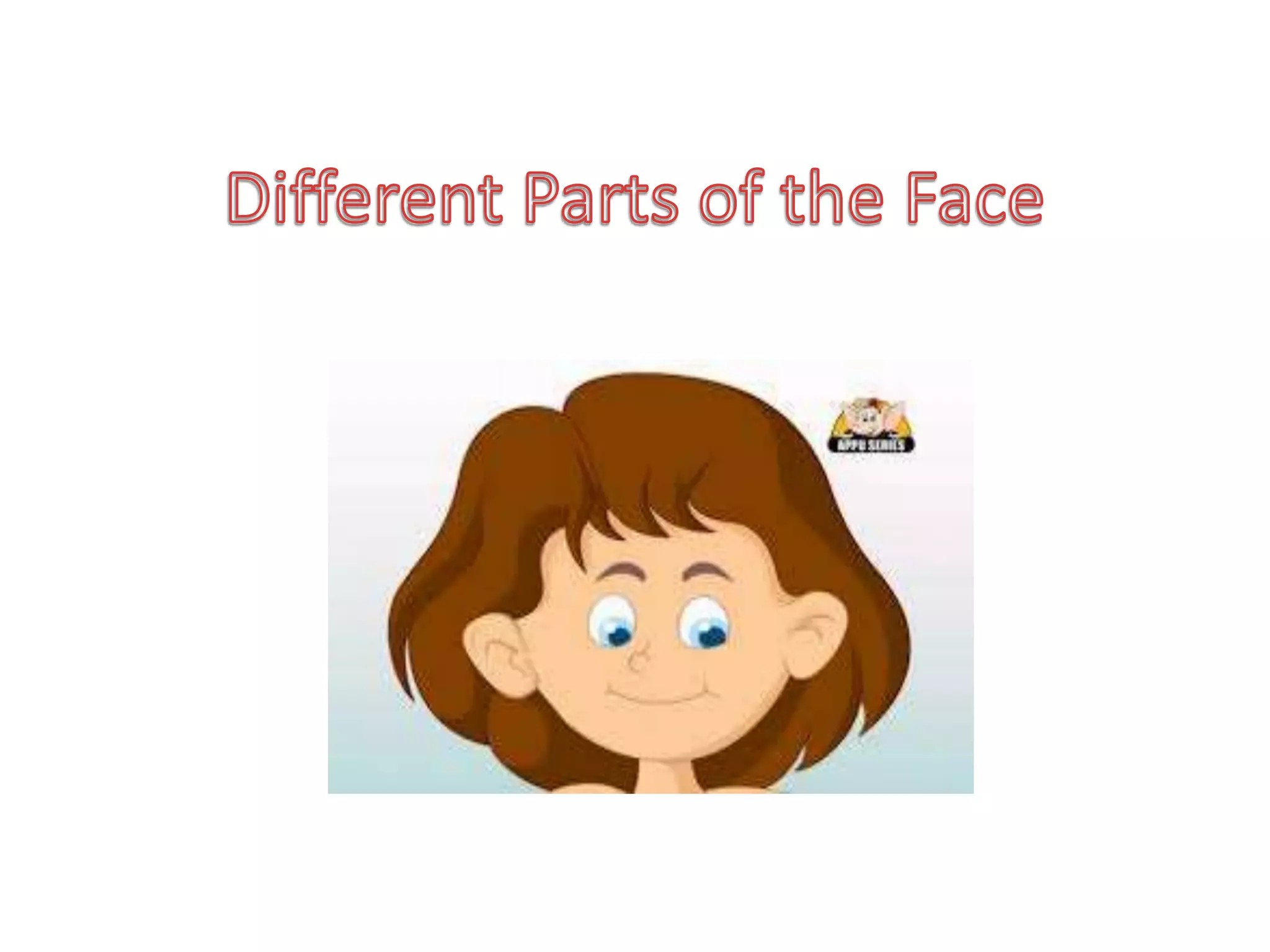 Different parts of the face | PPTX