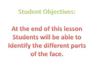 Different parts of the face | PPTX