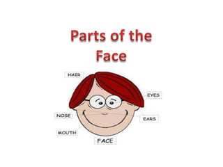 Different parts of the face | PPTX