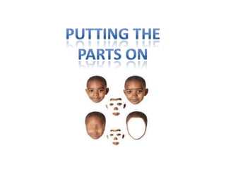Different parts of the face | PPTX