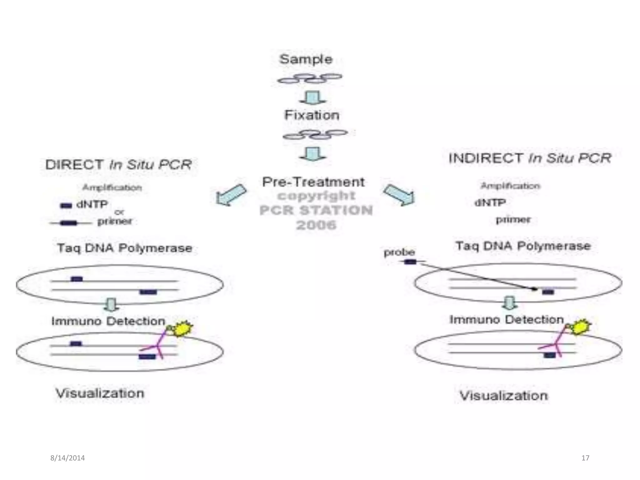 Different pcr techniques and their application | PPTX