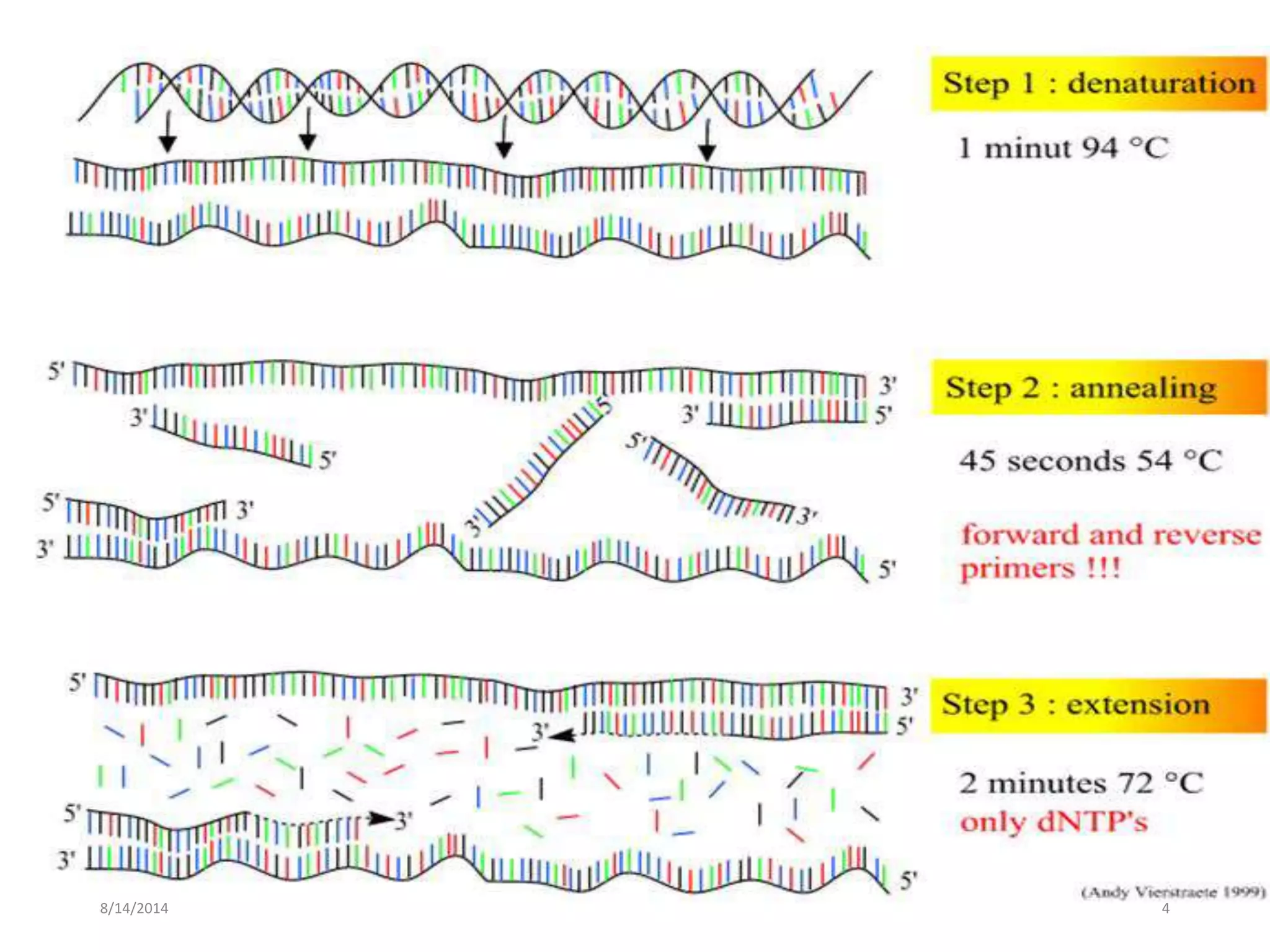 Different pcr techniques and their application | PPTX